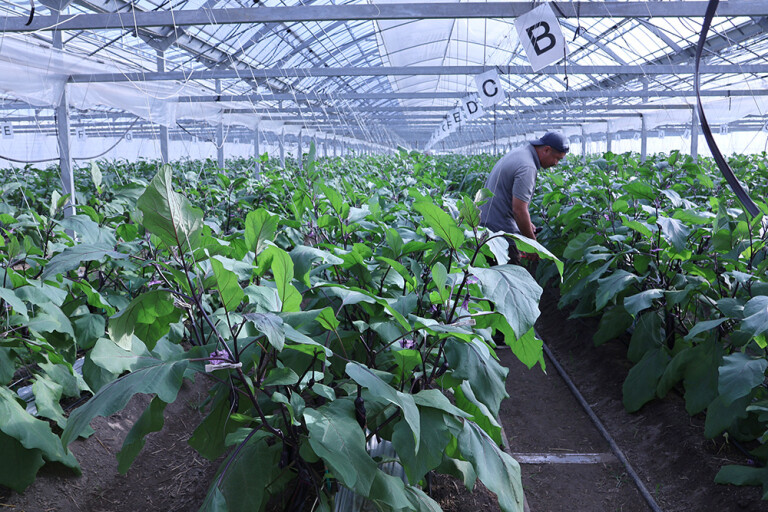 ㈱RUSH FARM視察 – 小郡市観光協会