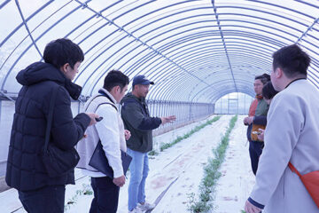 ㈱RUSH FARM視察 – 小郡市観光協会